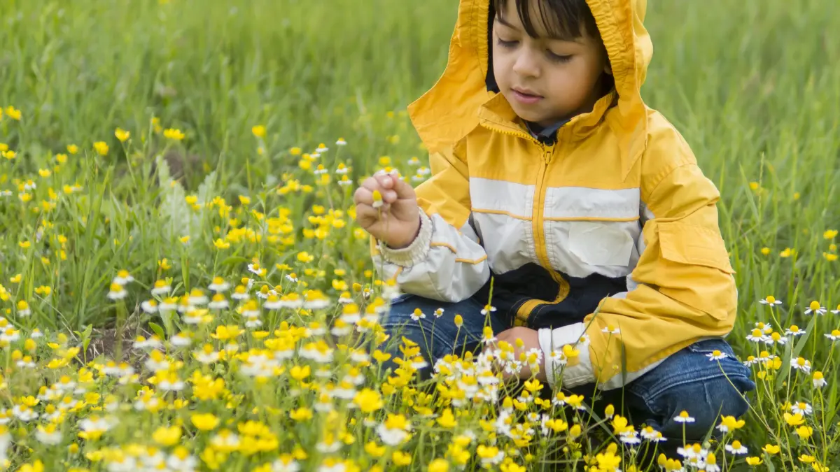Mengenal Dandelion Child: Anak Tangguh yang Mampu Berkembang di Segala ...