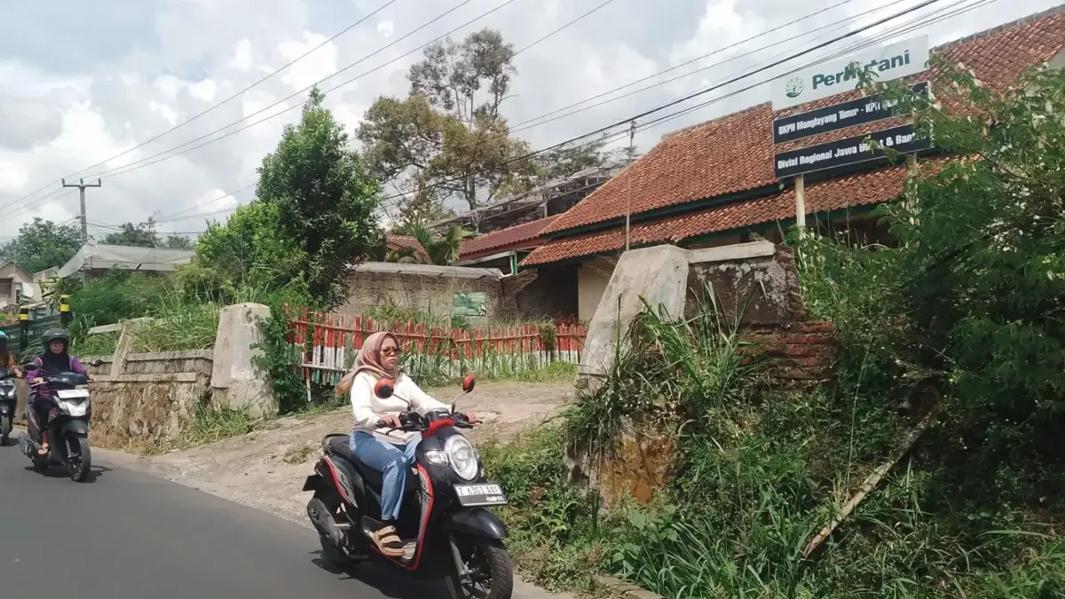 Meski Tak Pernah Terjadi Karhutla, BKPH Manglayang Timur Terus Lakukan ...