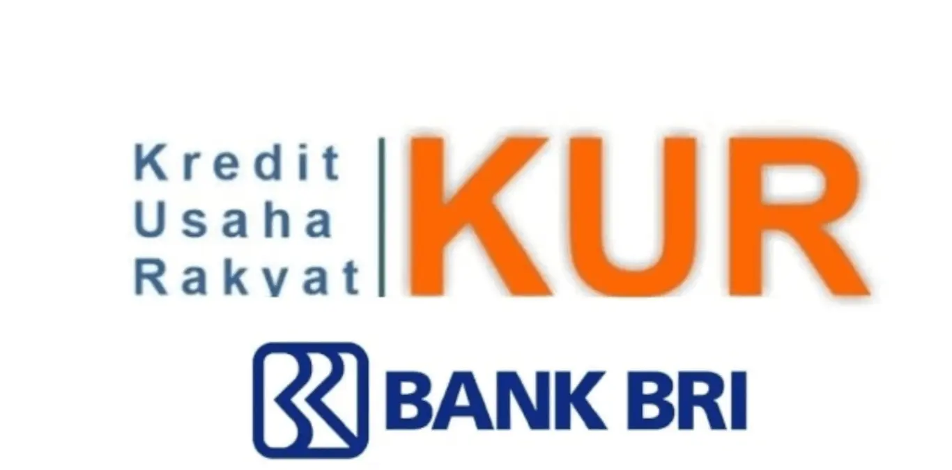 Tabel Pinjaman KUR BRI 2025 80 Juta Bulan September, Cicilan Mulai 60 ...