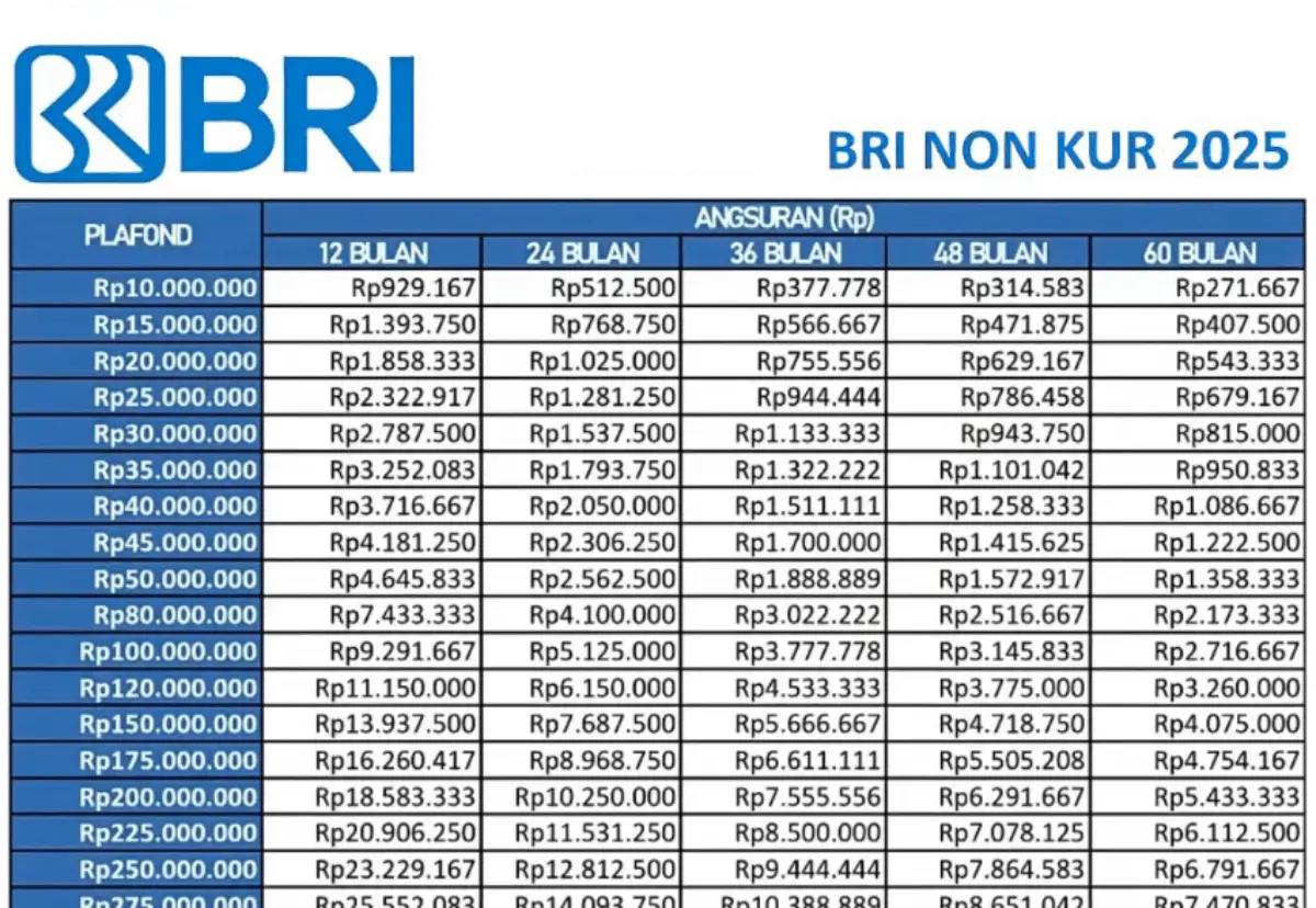 Pinjaman Non KUR BRI Desember 2025: Dana Hingga Rp 100 Juta, Angsuran ...