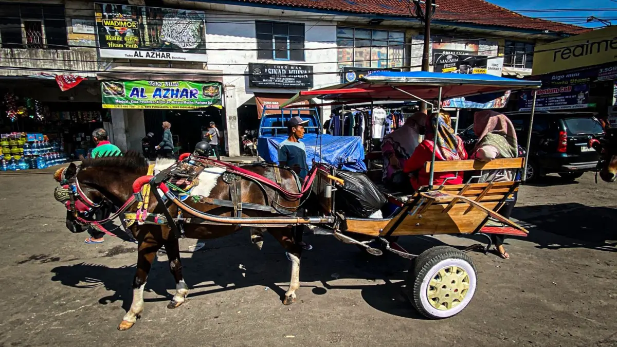 Delman dan Ratusan Angkot di Bandung Barat Dihentikan Sementara Jelang ...