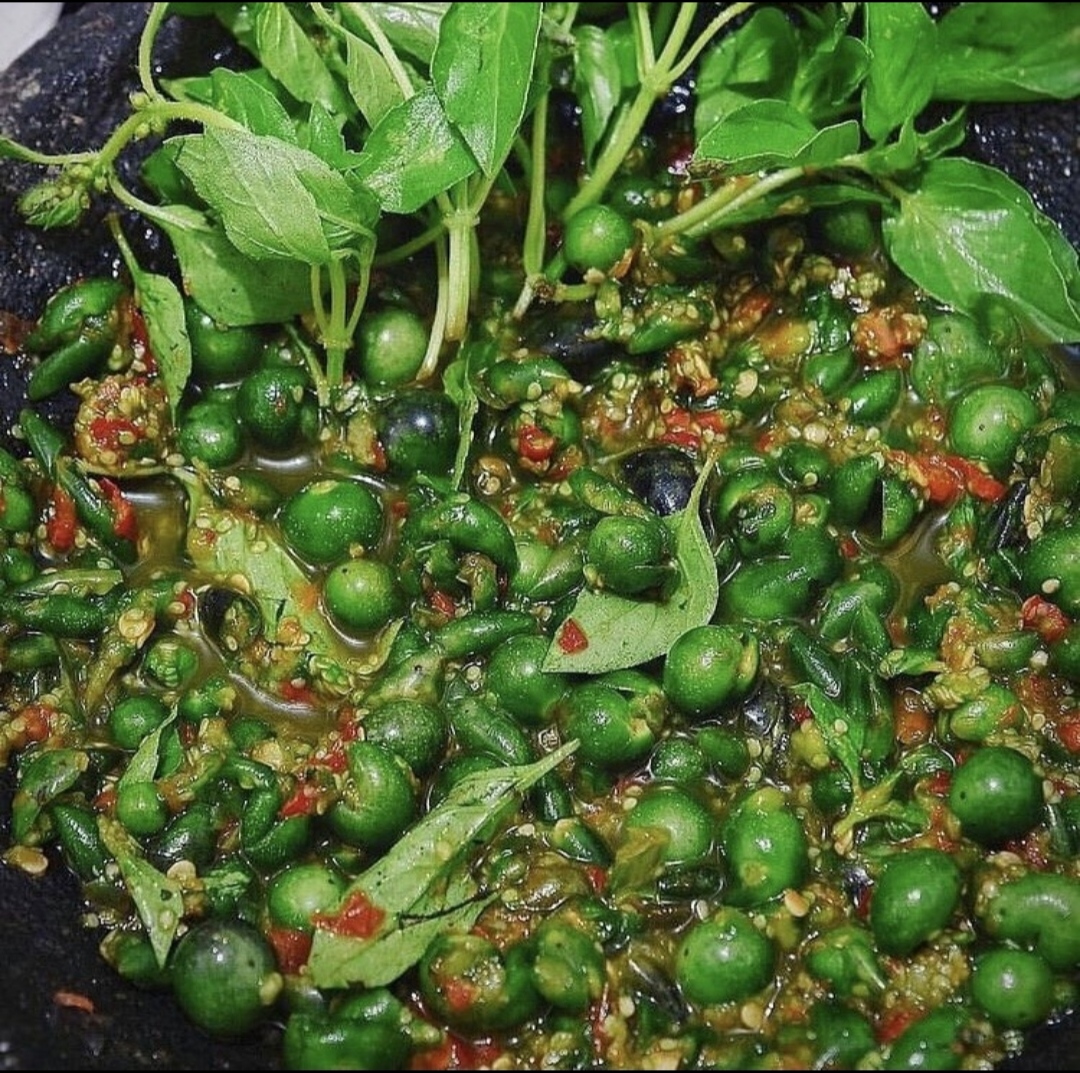 Resep Karedok Leunca Khas Sunda, Pedas dan Nikmat Bikin Nafsu Makan ...