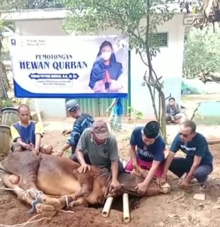 Ketua DPD PAN Subang Neng Farah, Kurban 4 Ekor Sapi – Pasundan Ekspres