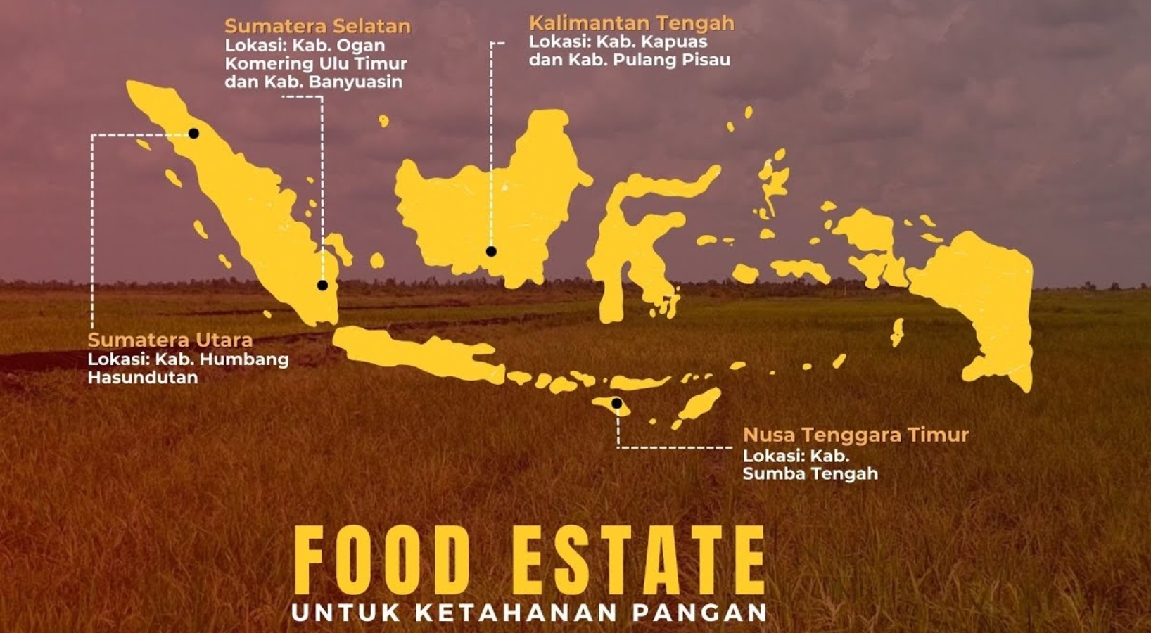 Potensi Buah di Food Estate Kalteng Mencapai Rp79,55 Miliar – Pasundan ...