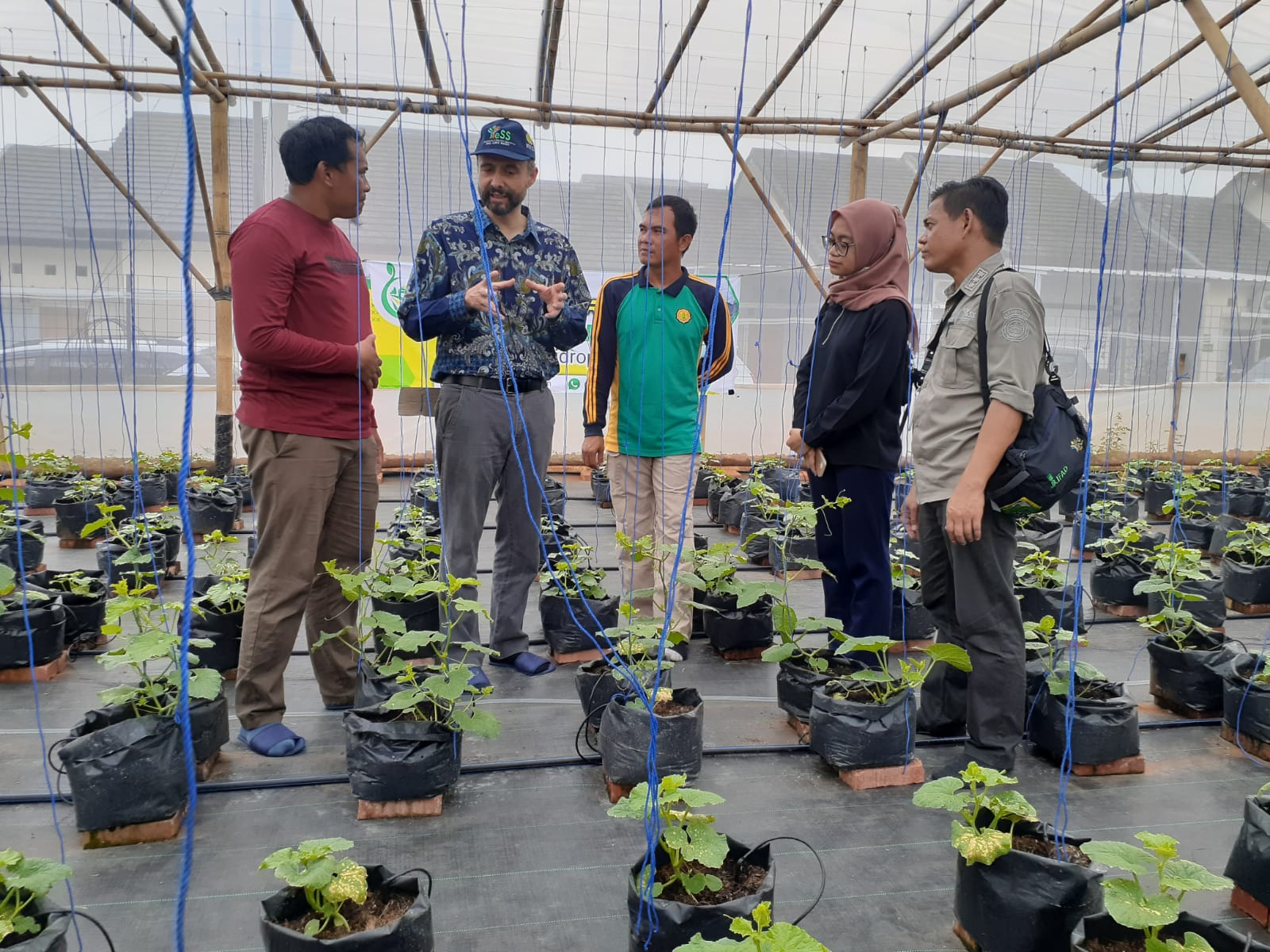 Petani Dapat Bantuan Rp10 hingga Rp100 Juta, Presiden IFAD Cek Langsung ...