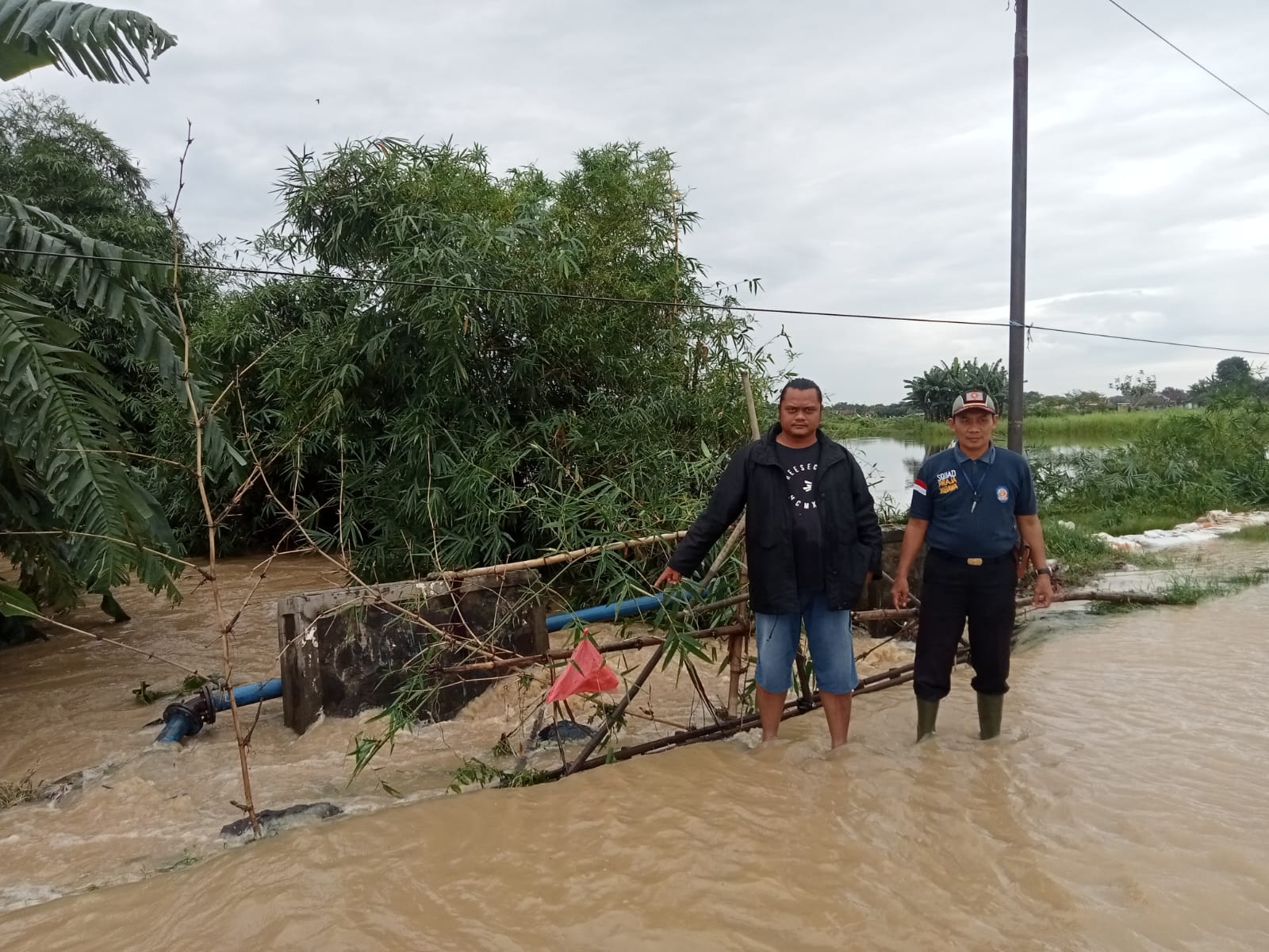 425 Hektare Sawah dan 65 Hektare Empang Terendam, Kerugian Banjir di ...