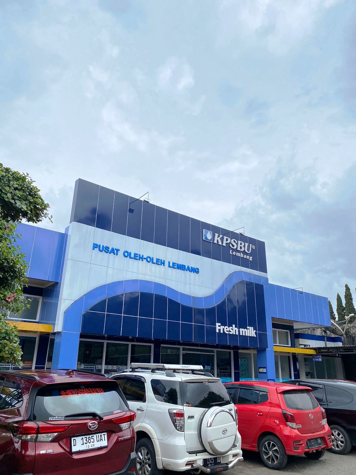 KPSBU Genjot Produksi Susu, Tambah Sapi dan Lahan Rumput – Pasundan Ekspres