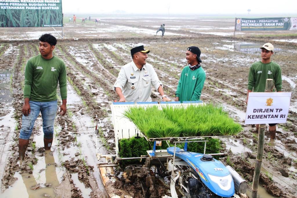 Pertahankan Lumbung Padi Nasional, Rule Model Pertanian Wujudkan ...