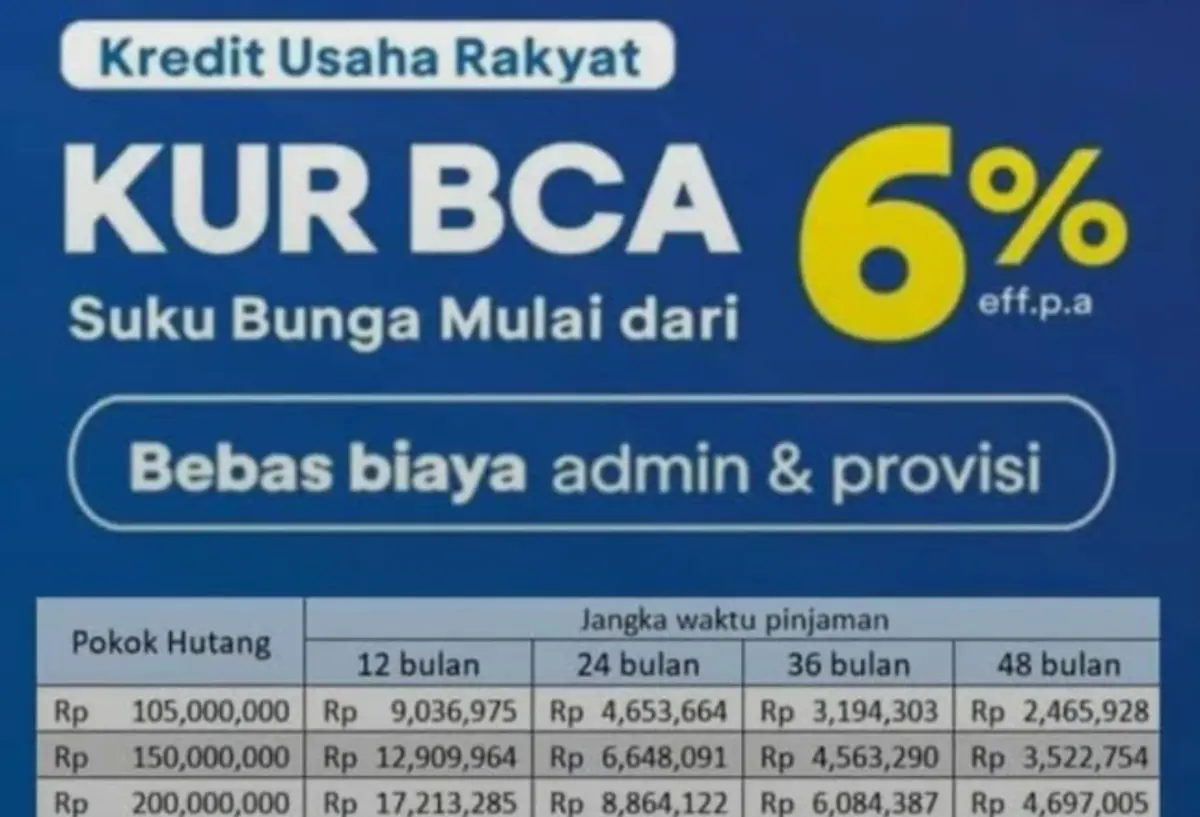 Panduan Lengkap Pinjaman Bank BCA untuk Usaha Tahun 2025! Syarat ...