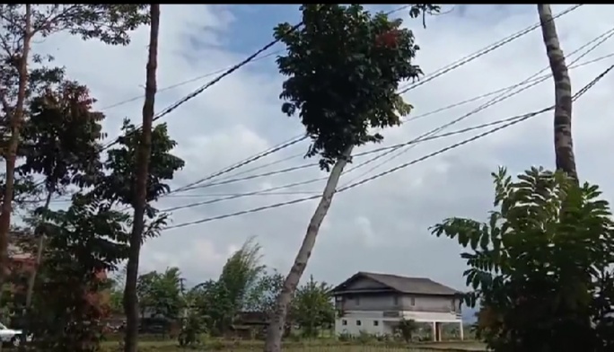 Kabel Telkom Ditimpa Pohon, Nyaris Putus – Radar Garut