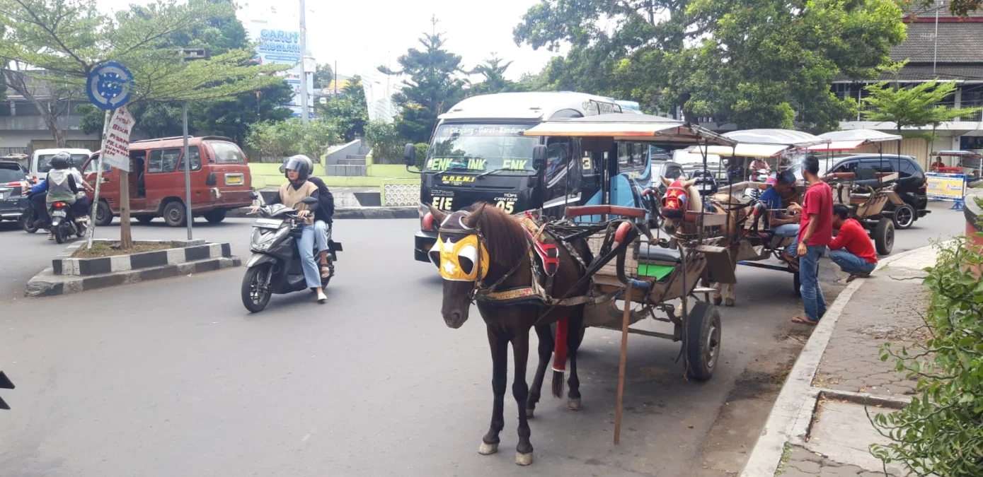 Sebanyak 71 Kusir Delman di Jalan Nasional Garut Dilarang Beroperasi ...