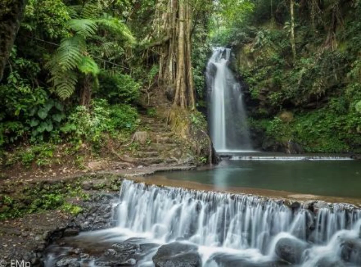 Ayo Tracking di Curug Putri dan Nikmati Keindahan Alamnya – Radar Garut
