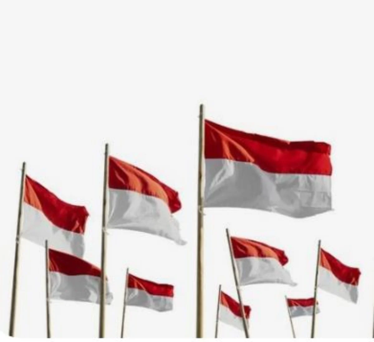 Ukuran Dan Aturan Pemasangan Bendera Merah Putih – Radar Garut