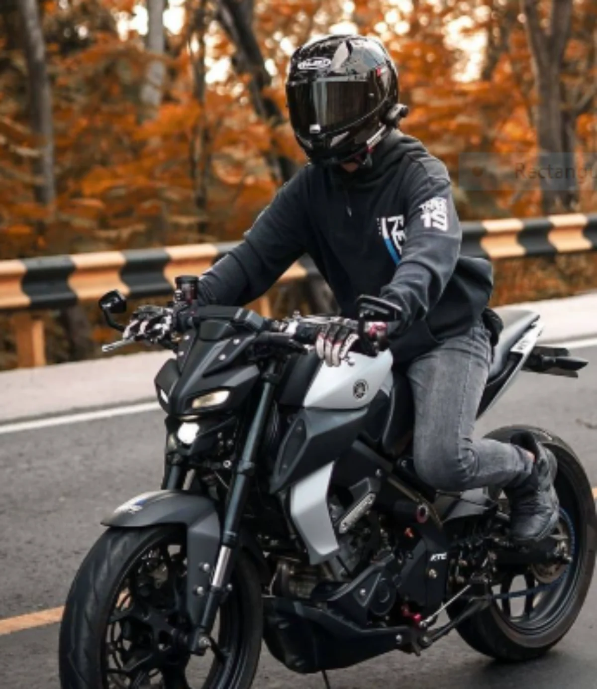 Motor Anak Muda 2025: Pilihan Terpopuler dan Inovasi yang Mengubah ...