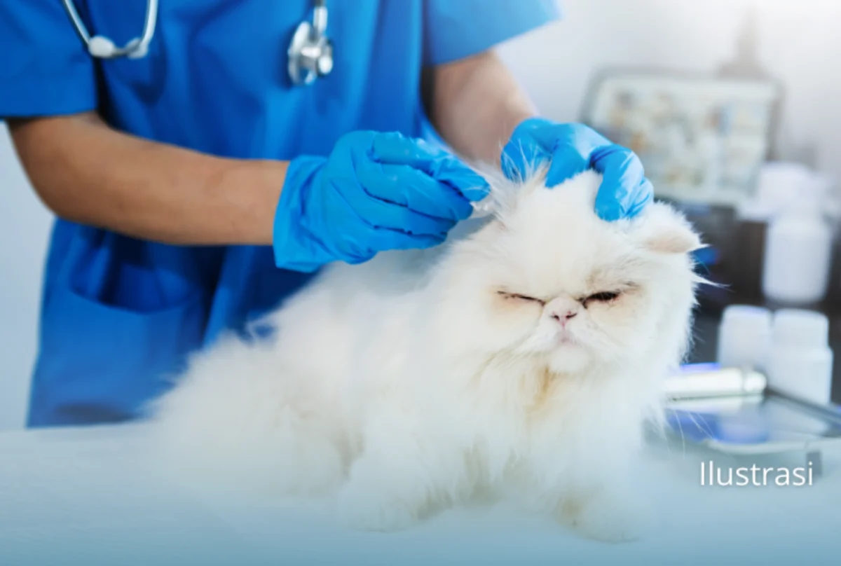 DKP3 dan RSUD Al-Mulk Bentuk Rabies Center – Sukabumi Ekspres