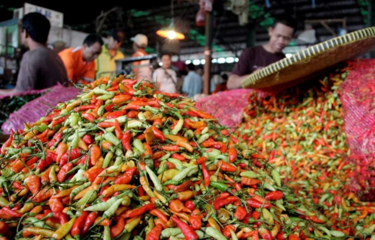 Harga Pangan Naik! Cabai Rawit Tembus Rp100.000/Kg, Telur Ayam Rp30.850/ – Sukabumi Ekspres