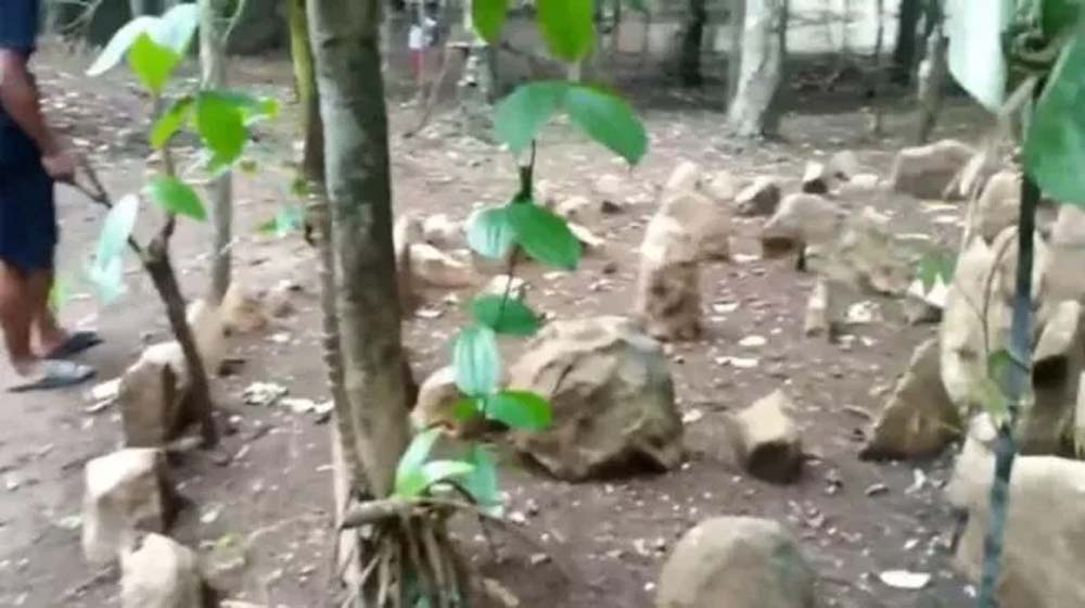 Ajaib, Batu Melingkar di Tasikmalaya Bikin Smartphone Bisa Internetan ...