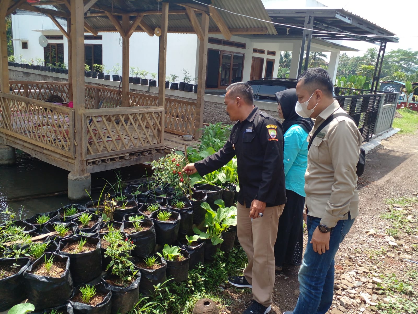 Desa Kebonjati Pilot Project Ketahanan Pangan – Sumedang Ekspres