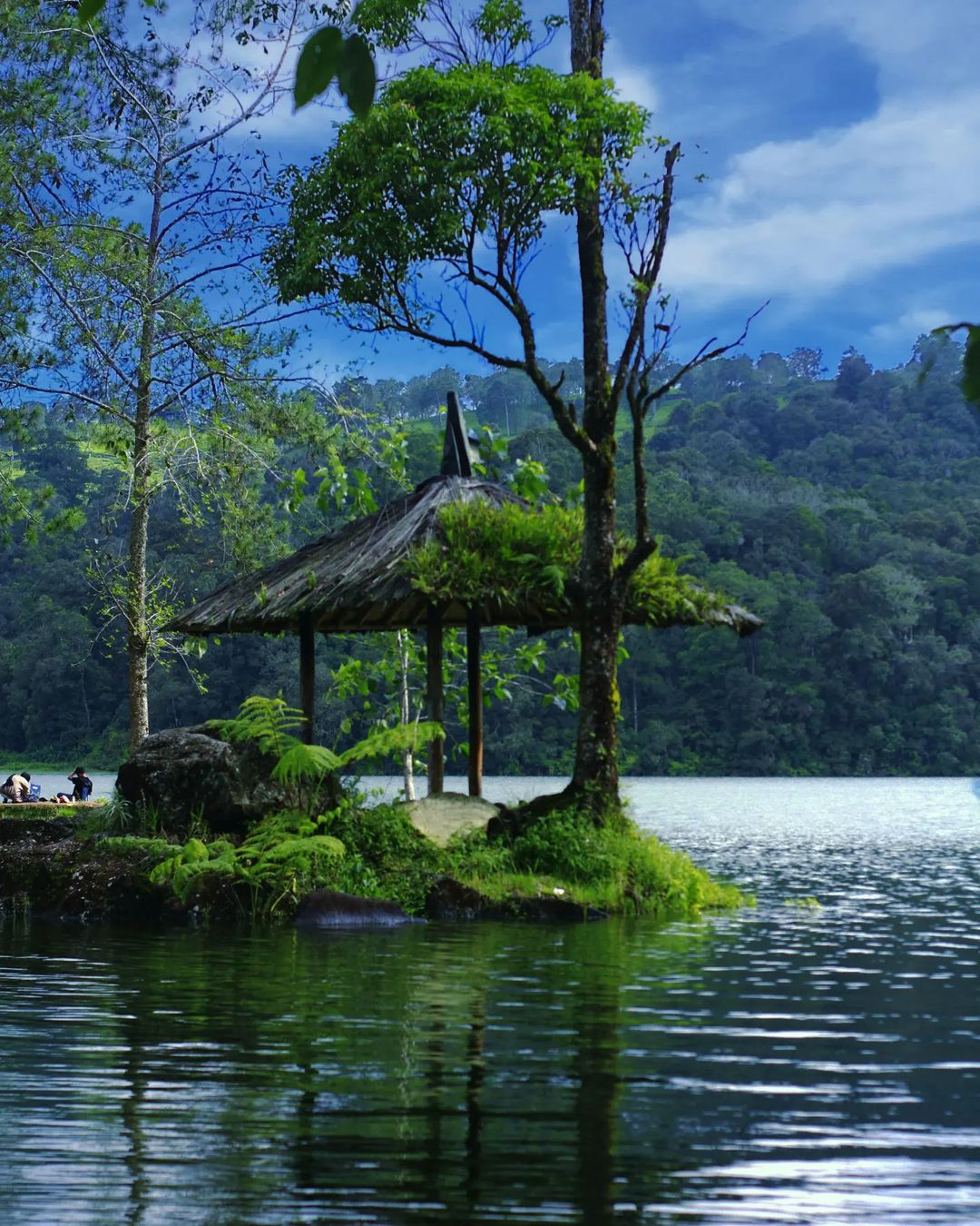 Nikmati Keindahan Danau Di Situ Patenggang Ciwidey Bandung – Sumedang ...