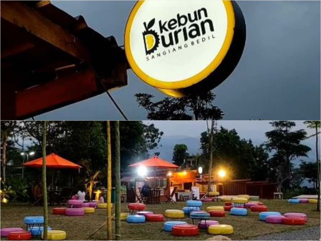 Kebun Durian Sangiang Bedil Tempat Nongkrong di Sumedang Bagi Pecinta ...