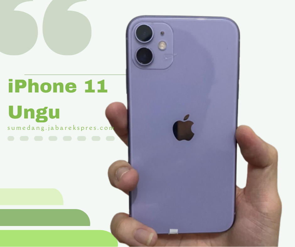 iPhone 11 Warna Ungu Mampu Memberikan Kedamaian, Cocok Bagi Orang yang ...
