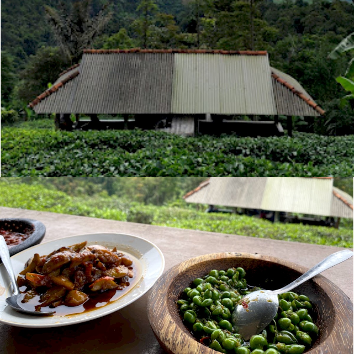Unik Warung Salam di Tengah Hutan Wado Sumedang Omzet Puluhan Juta ...