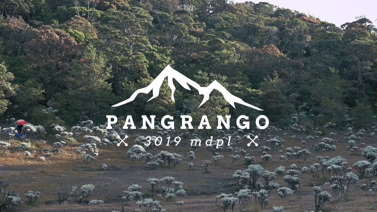 Menikmati Keindahan Alam dengan Mendaki Wisata Gunung Pangrango! Ini ...
