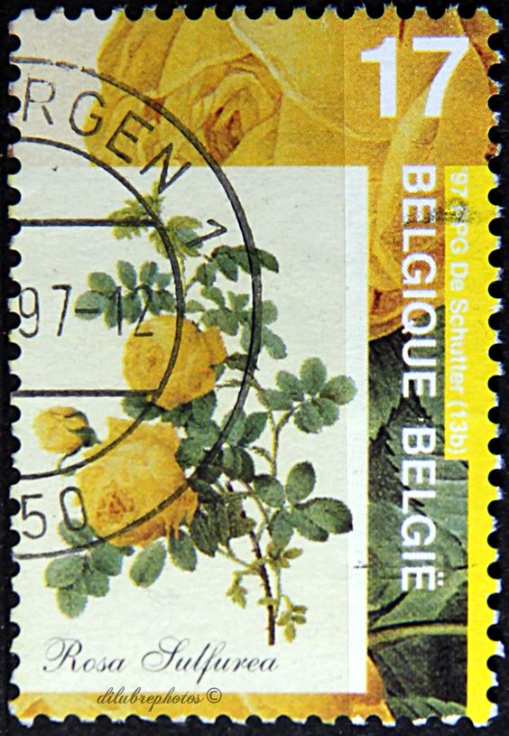 Koleksi Prangko Gambar Bunga sebagai Harta Berharga – Sumedang Ekspres