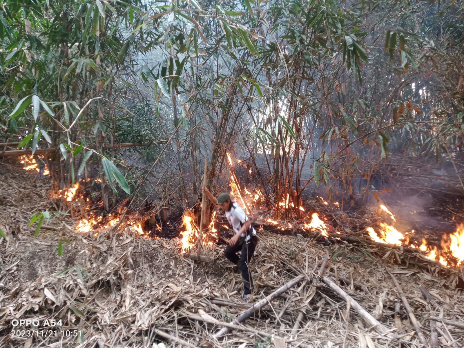 Gegara Bakar Sampah Lahan Bambu Ikut Terbakar – Sumedang Ekspres