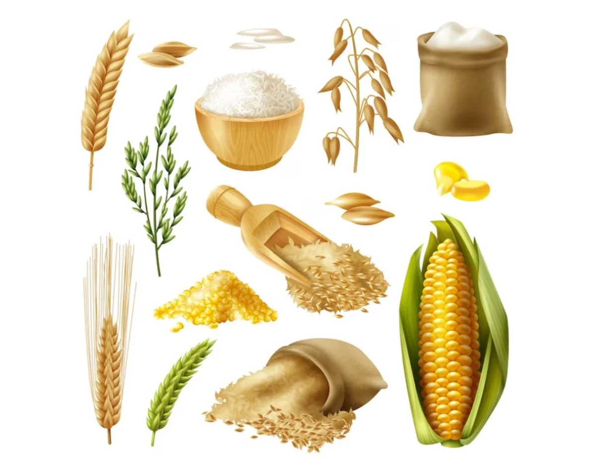 Deretan 6 Bahan Pangan Pengganti Beras dan Cara Mengolahnya – Sumedang ...