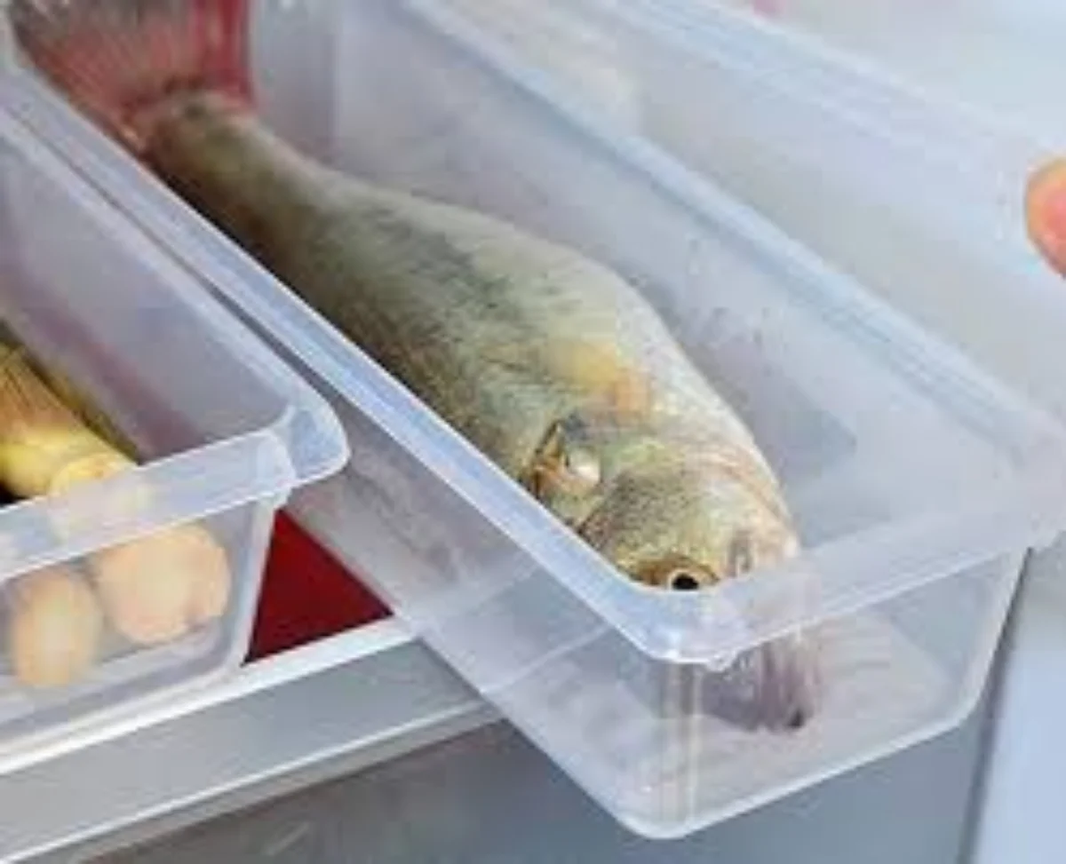 Cara Menyimpan Ikan Agar Awet – Sumedang Ekspres
