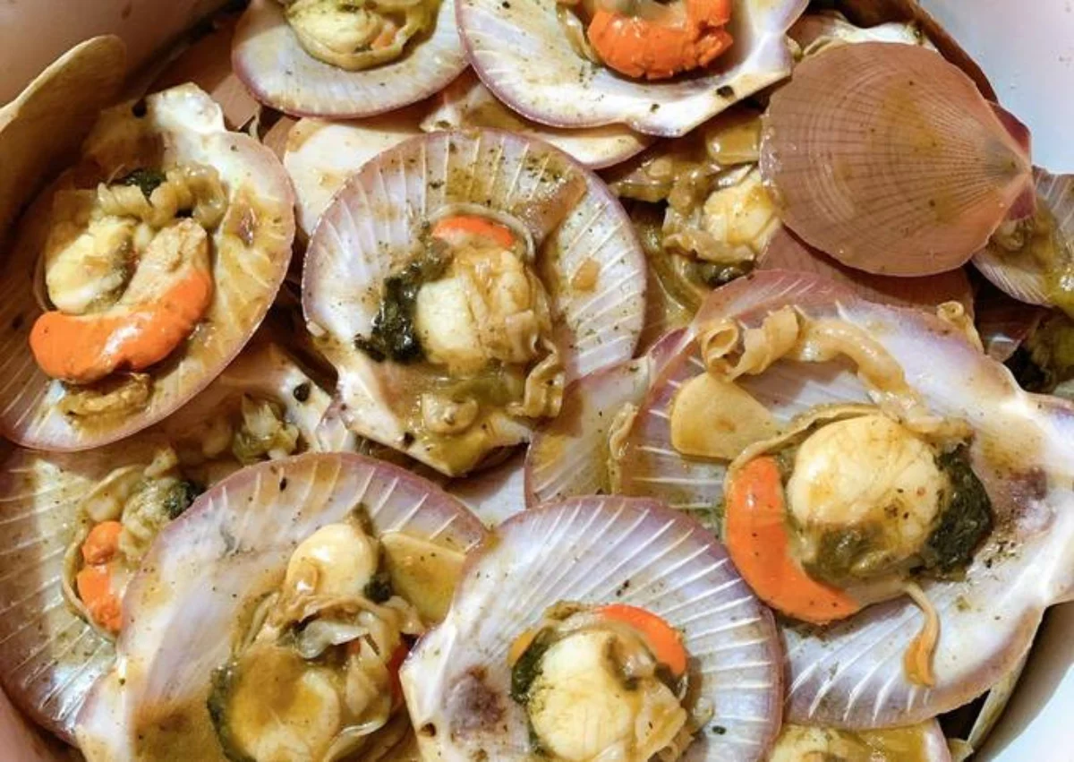 Beberapa Manfaat Kesehatan dari Kerang Simping Berikut dengan Cara ...