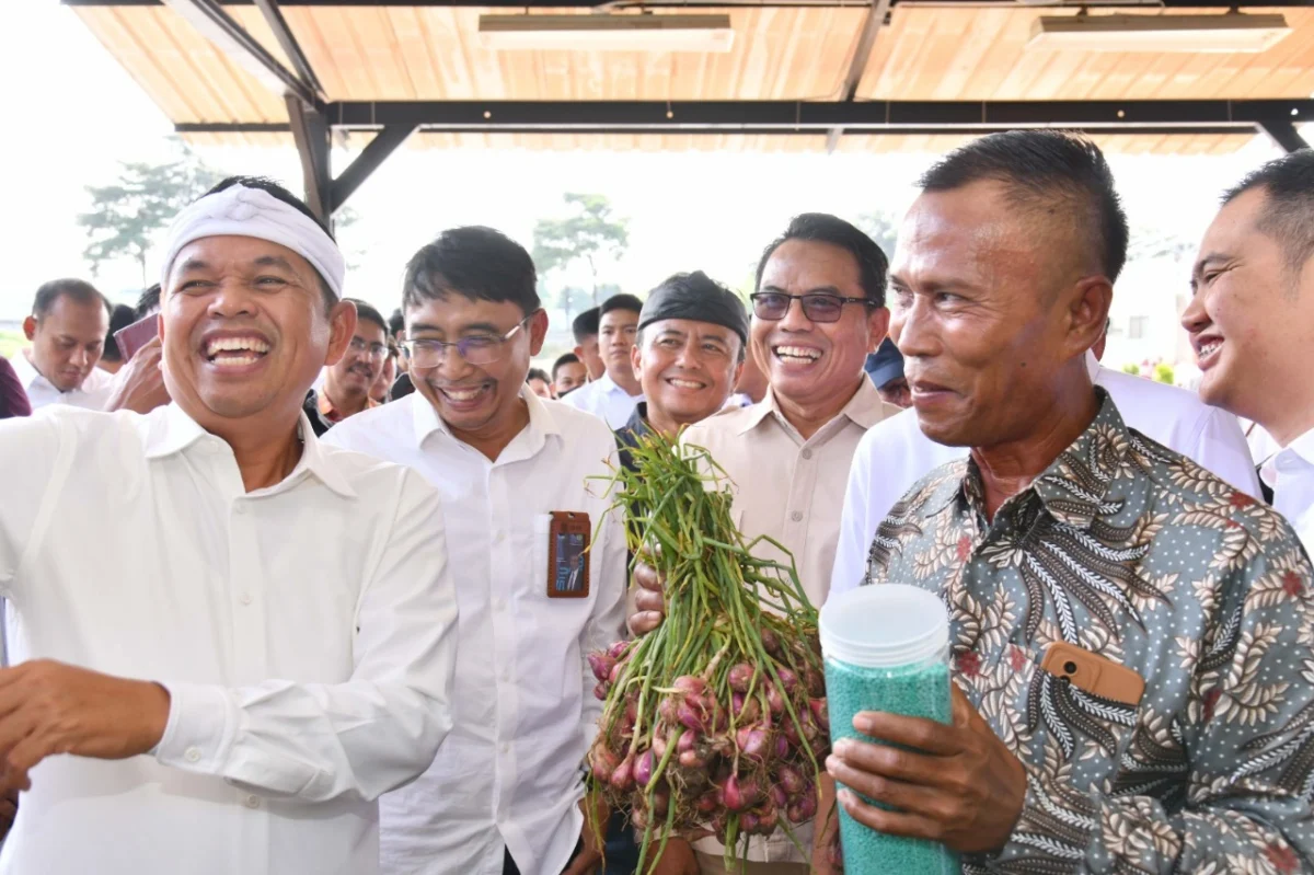 Dedi Mulyadi Pastikan Stok Pupuk di Jabar Aman – Sumedang Ekspres