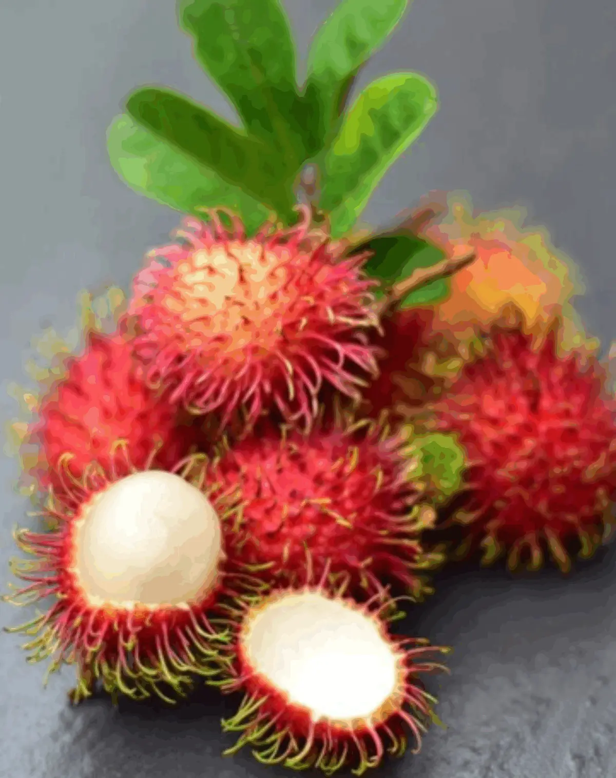 Buah Rambutan: Si Manis Segar dengan Segudang Manfaat Kesehatan ...